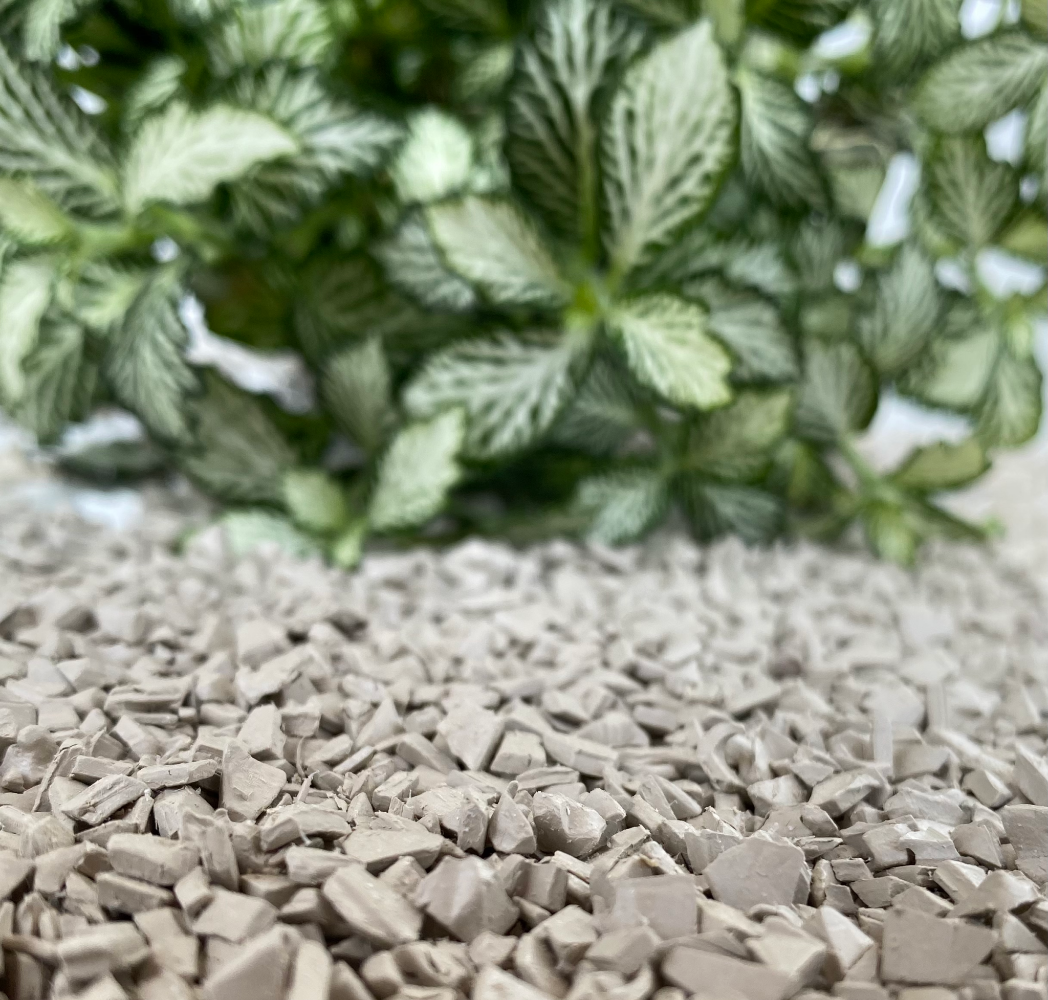 Discover ChamClad: Our Vision, Team & Sustainable Mission